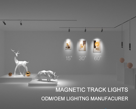 What is the difference between magnetic track down light and magnetic ...